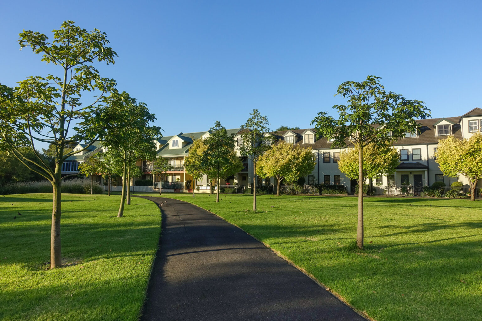 Renovate Your Parks: Enhance Aesthetics and Safety with Concrete Paving ...